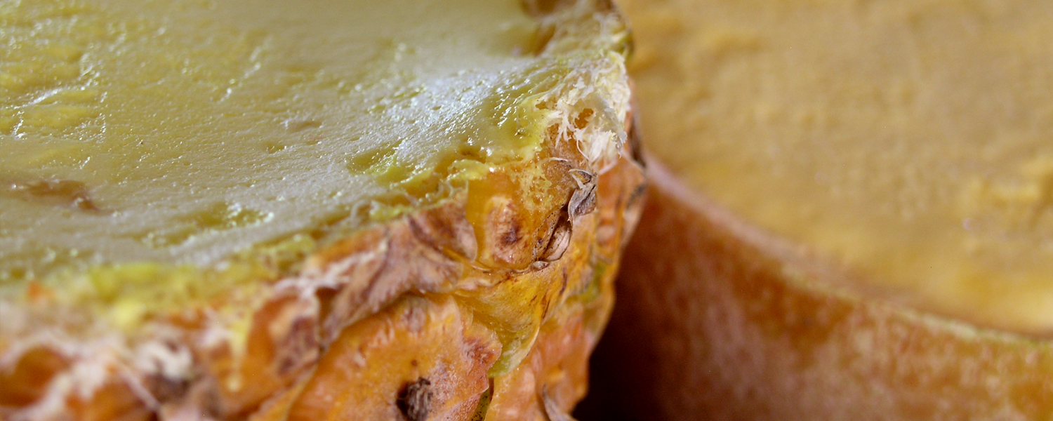 Fruti Nieves Pialli